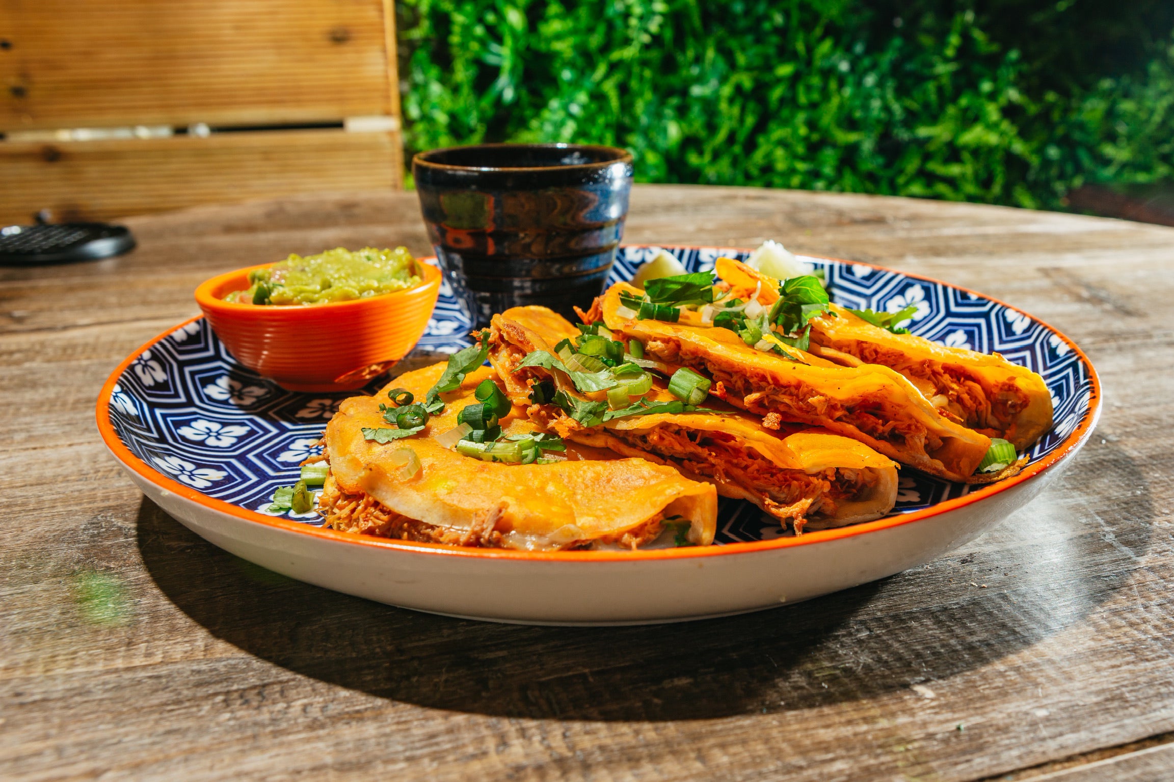 Birria Tacos | Don Tacos